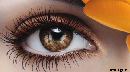 Lidské oči,oko lásky,fotky,obrázky